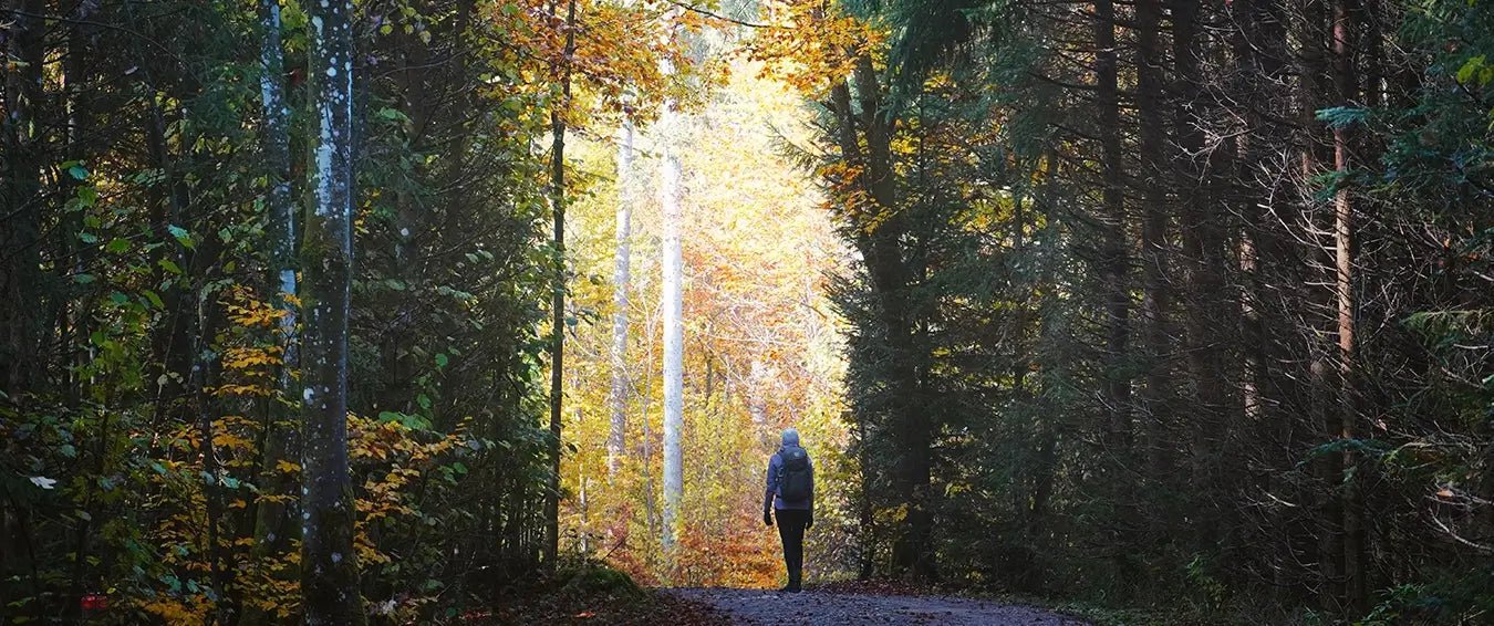 6 Reasons to Try Mindful Walking – We Live Conscious