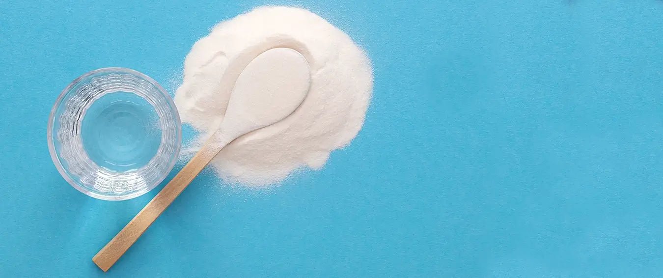 Lattes, Cookies, Yes Please! 3 Holiday Collagen Recipes You’ll Love ...