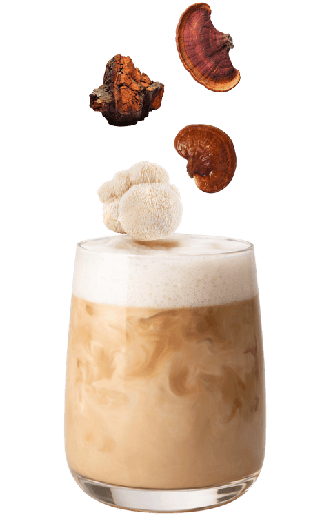 Beyond Brew: Mushroom Coffee Alternative with 6 Functional Fungi | Live ...